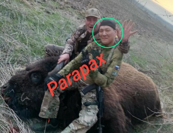 «Агентство»: Российские военные съели краснокнижного зубра | greenbelarus.info